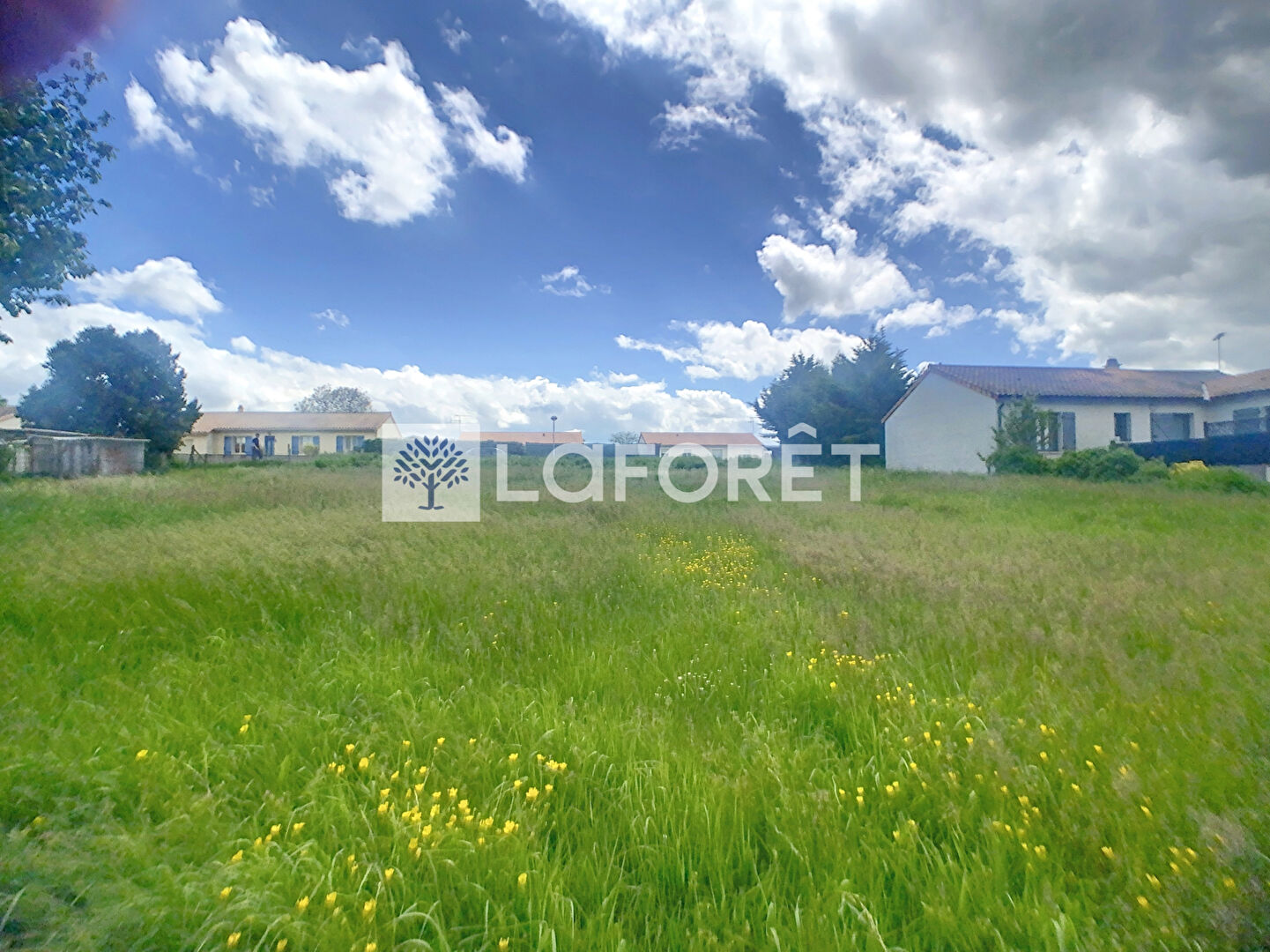Achat terrain près de AIRVAULT - 1320 m² - 18 540 € | Laforêt AIRVAULT ...