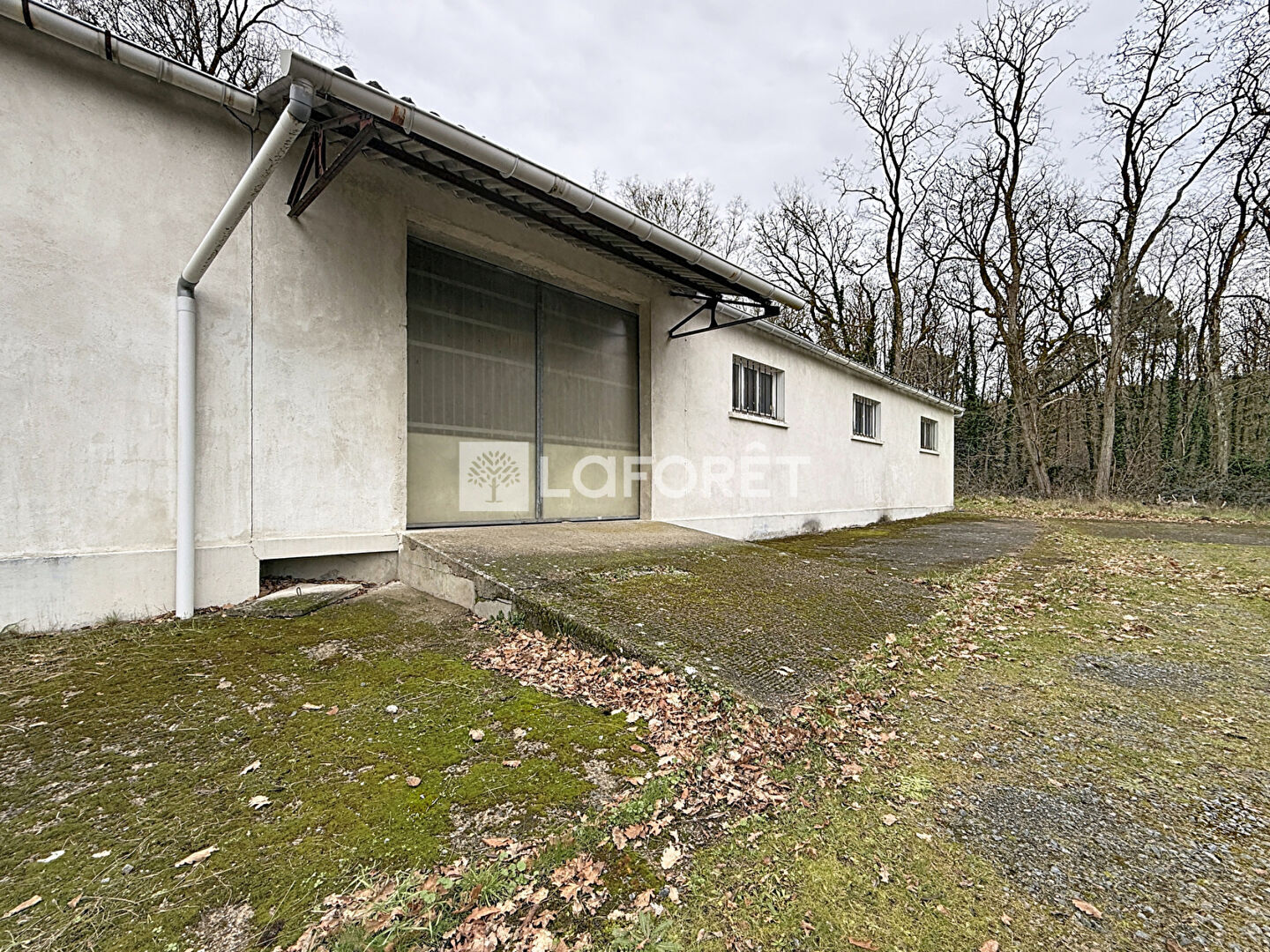 Location local commercial Brain-sur-Allonnes - 1 pièce(s) - 200 m² ...